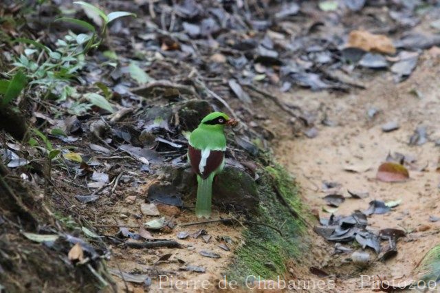 To an even greater 2018 ! | A C E E